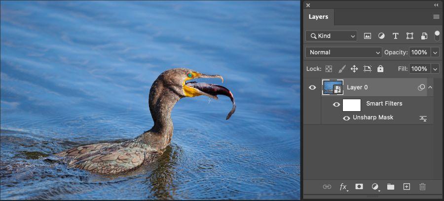 Basic Photoshop Tutorial: Essential Skills for Beginners